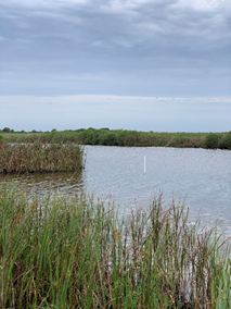 Estuary Science Exchange | Texas Water Development Board